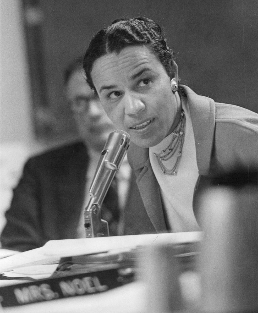 Rachel B. Noel Distinguished Visiting Professorship - MSU Denver