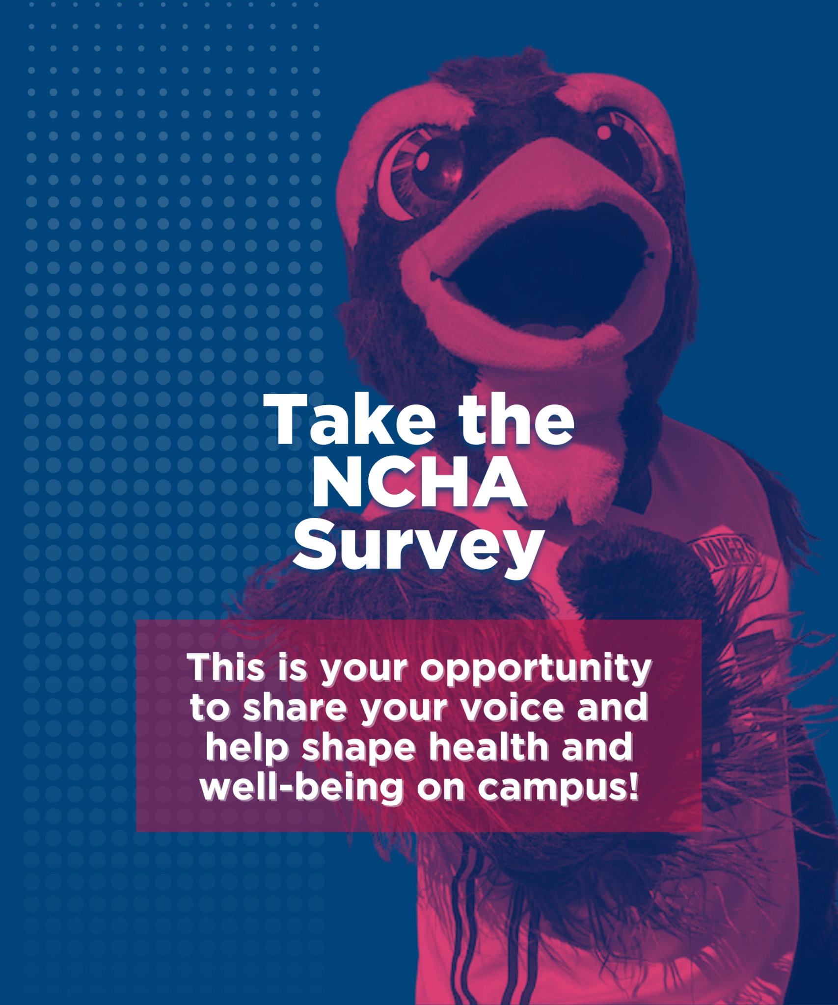 NCHA Assessment - MSU Denver