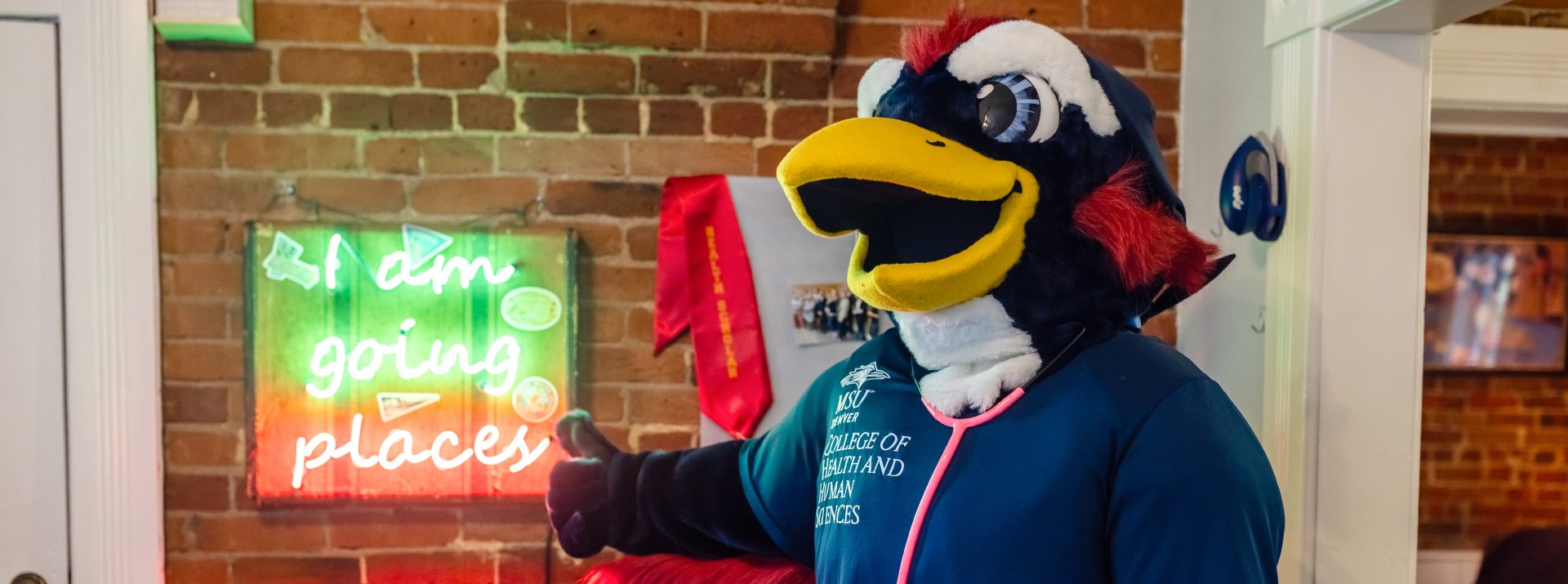 Get Ready for Workday Student - MSU Denver